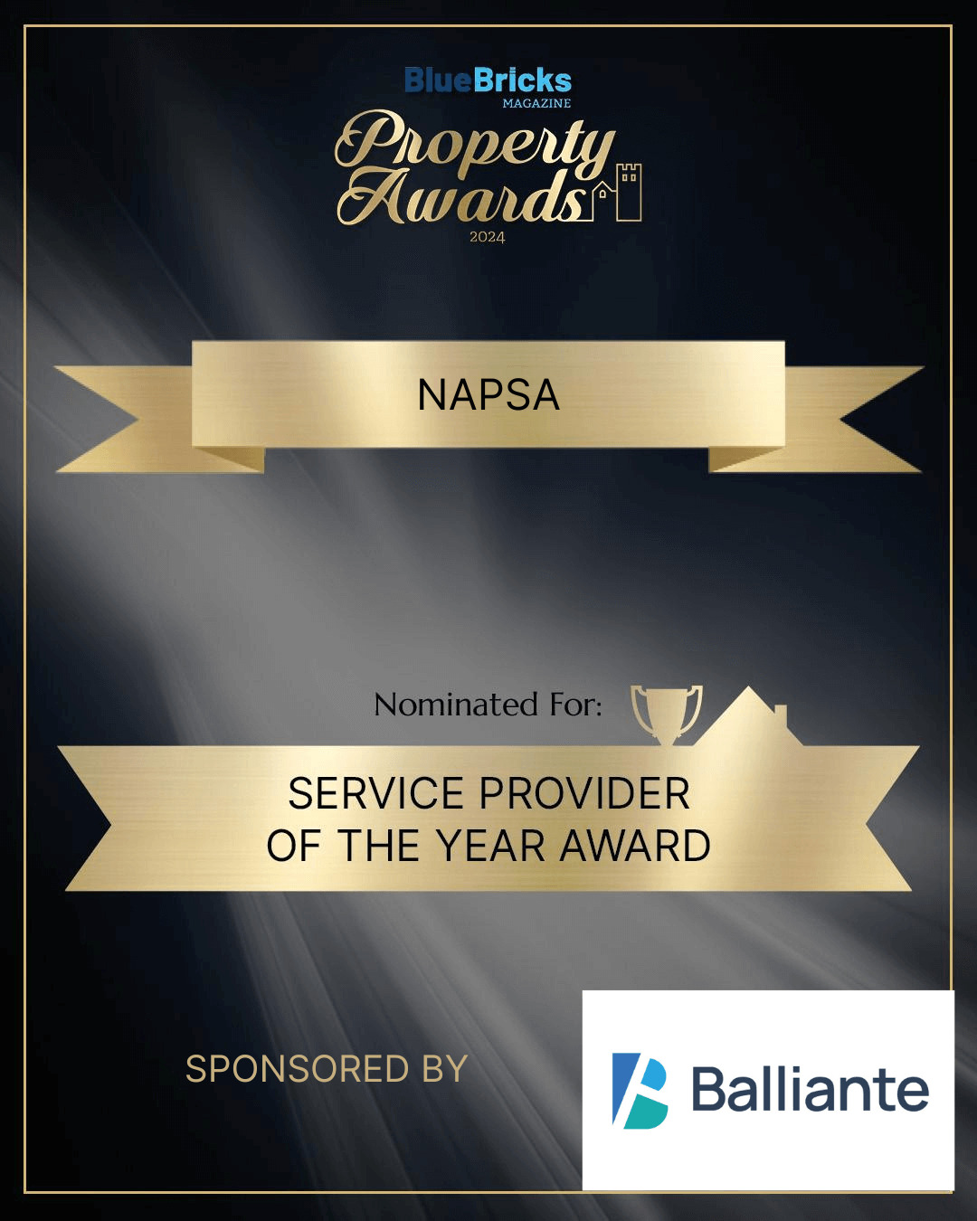 NAPSA Nominated: Service Provider of the Year Award